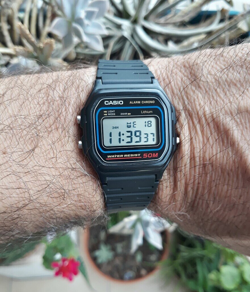 Hoy Casio W59 un chiquitín bastante cómodo - Hablemos de Relojes - HdR